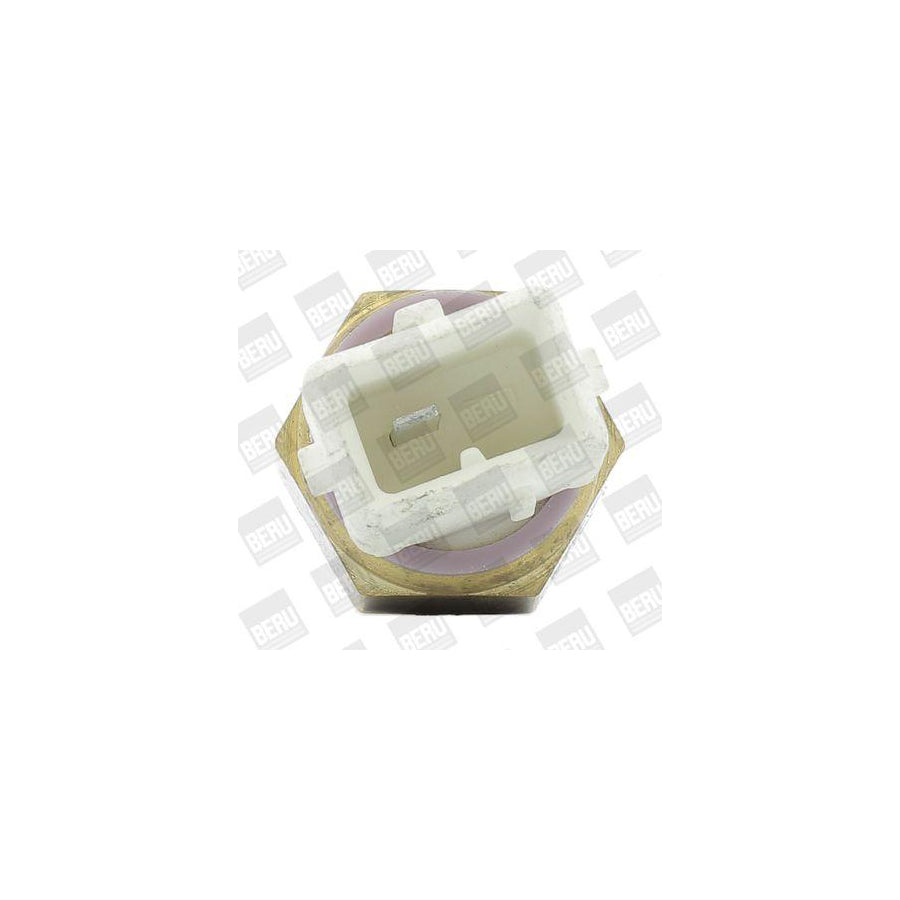 Beru St198 Temperature Switch, Coolant Warning Lamp – Duco Car Parts